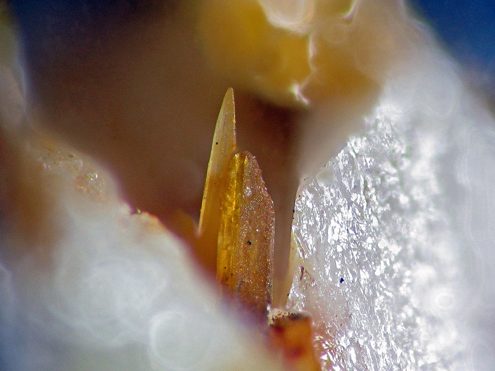 Cerussite gallery