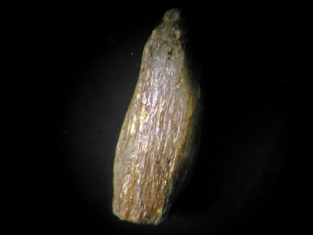 Sillimanite gallery