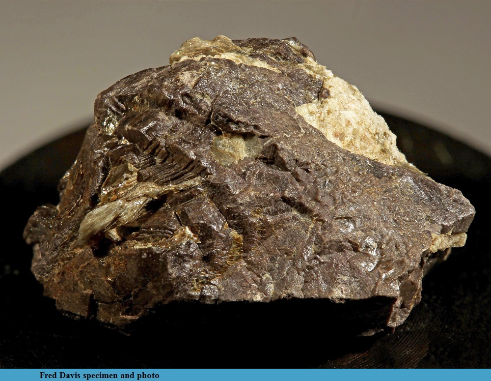 Zircon gallery 2