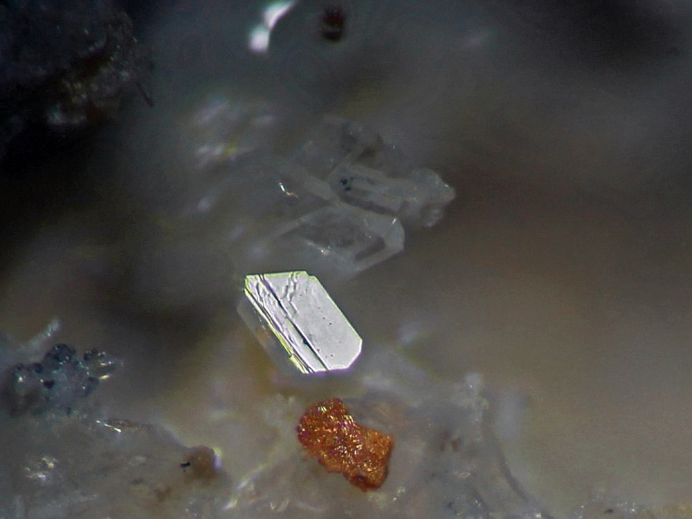 Gypsum gallery