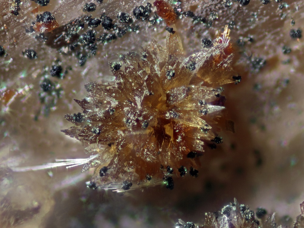 Palermo Mine Minerals 4