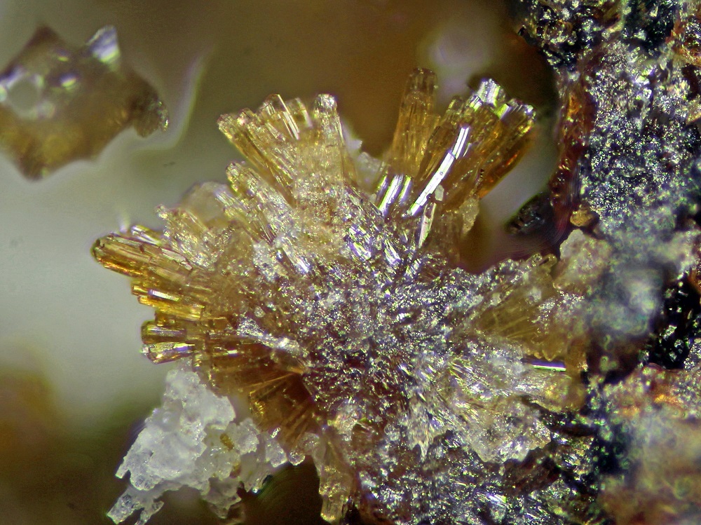 Whiteite gallery