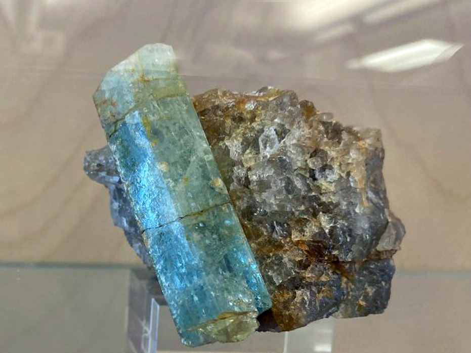 Beryl gallery 6