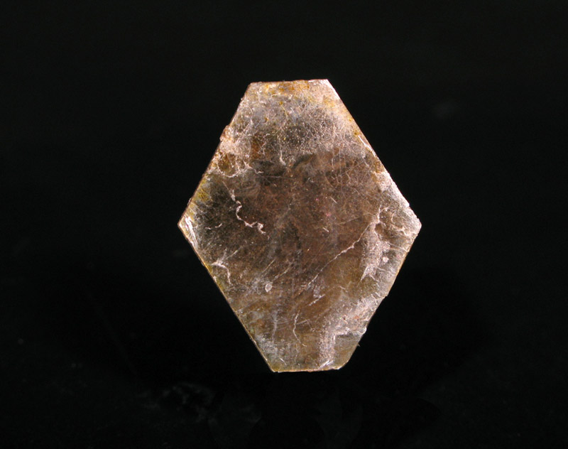 Muscovite